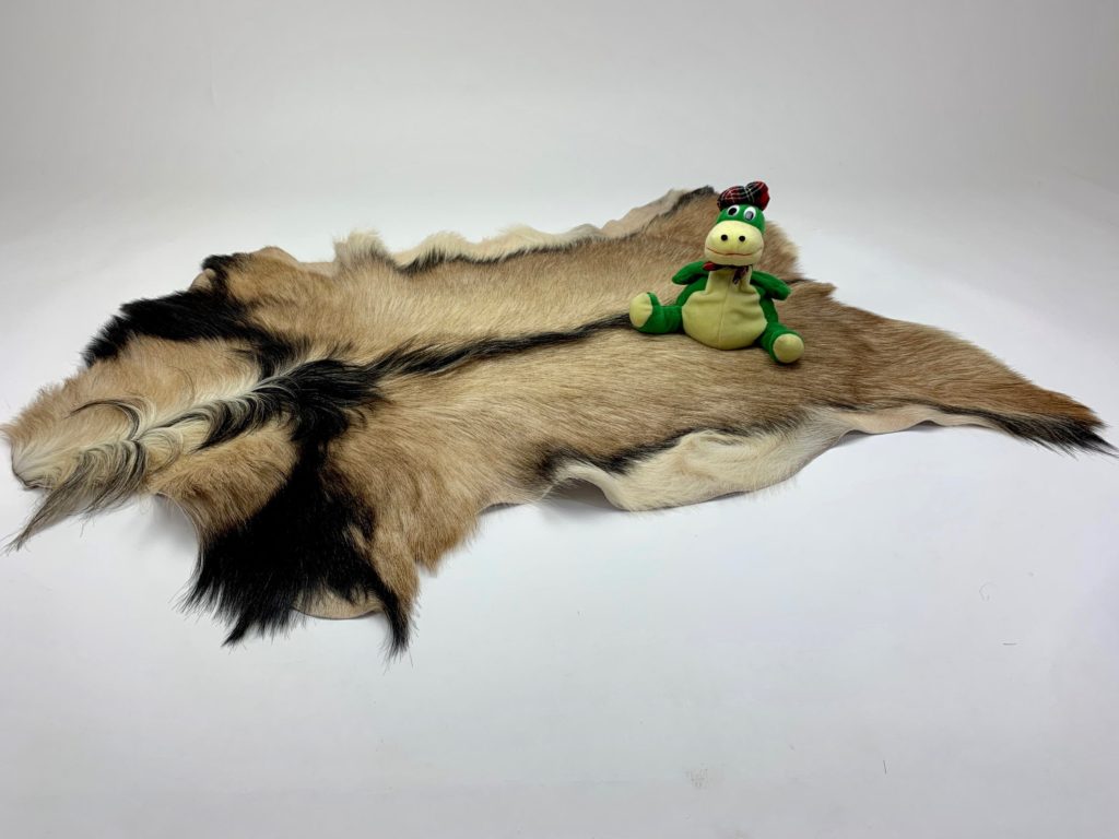 Goat Leather Skin Fur Rug Pelt Hide 100% Natural GT19068 – Sheeprug
