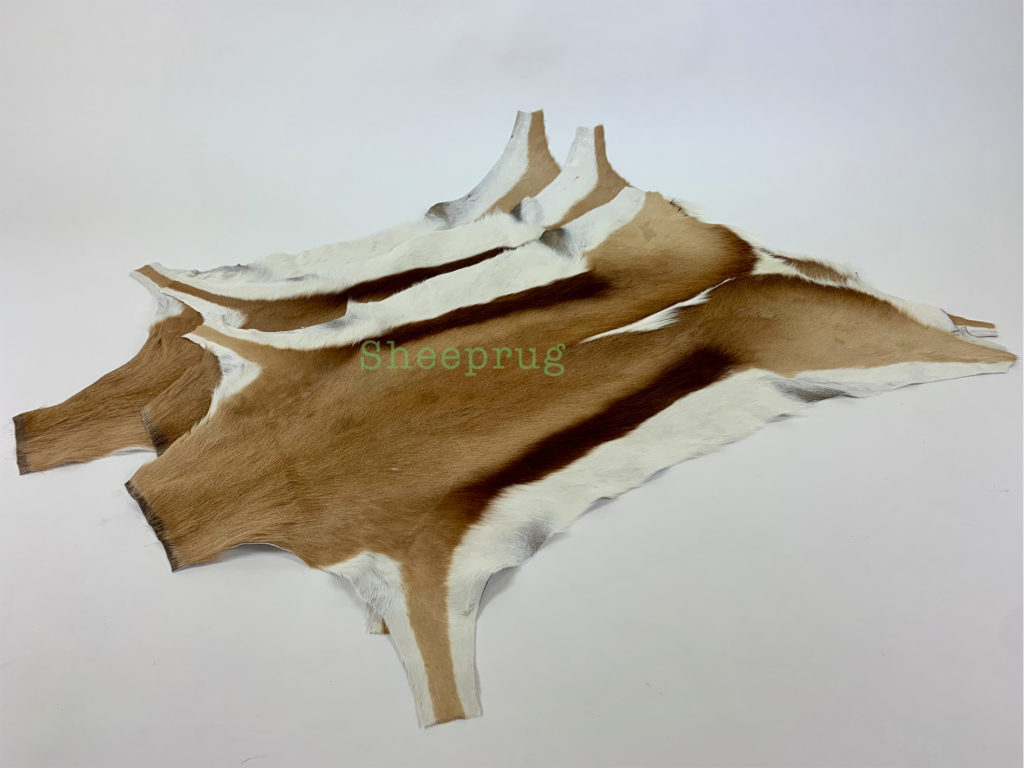 Springbok / Antelope rug leather 100% Natural Leather – Sheeprug