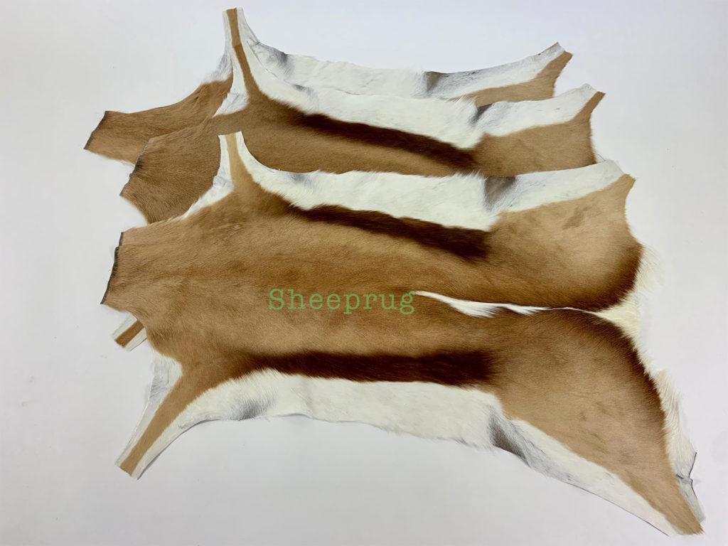 Springbok / Antelope rug leather 100% Natural Leather – Sheeprug